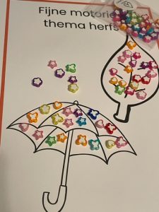 Download boekje thema herfst fijne motoriek - Juf Julie